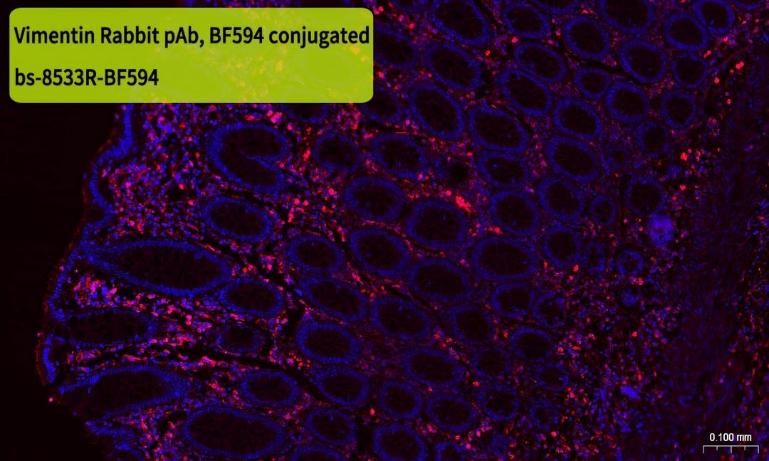 北京博奥森生物技术有限公司